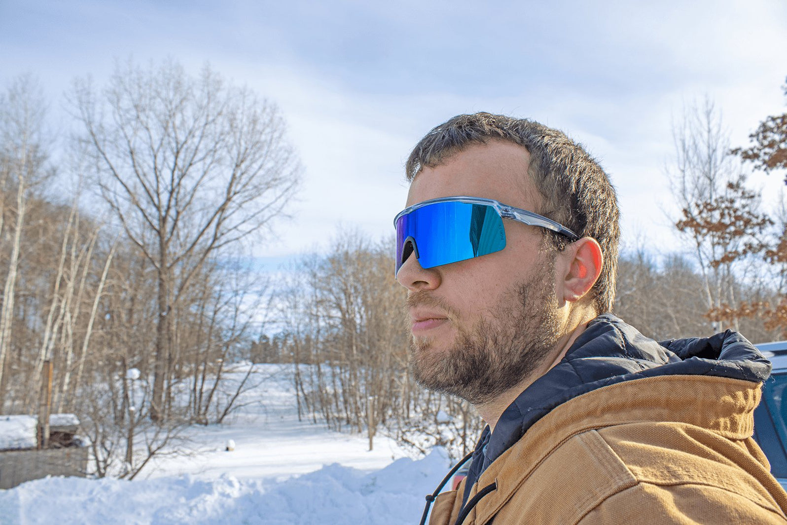 Bullhead Safety Whipray Anti-Fog Safety Glasses, ANSI Z87+, Polycarbon ...